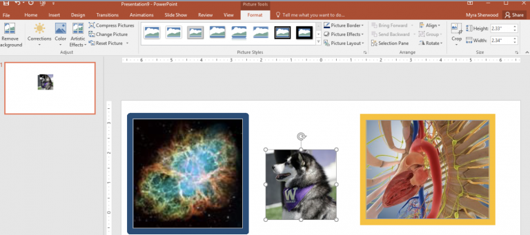 Powerpoint Poster Guide | UW Poster